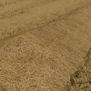 New straw texture v1.0 FS22 Mod | Farming Simulator 22 Mod