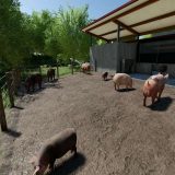 Enhanced Animal System v2.0 FS22 Mod | Farming Simulator 22 Mod