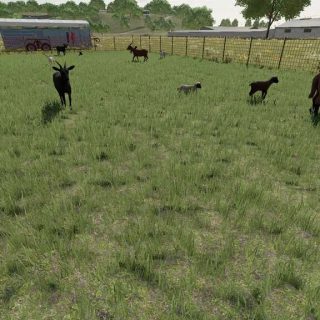 Enhanced Sheep And Goat Pasture v1.0 FS22 Mod | Farming Simulator 22 Mod