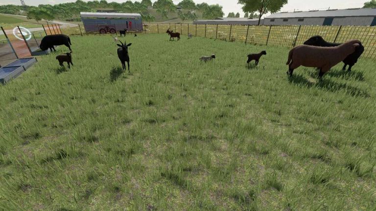 Enhanced Sheep And Goat Pasture v1.0 FS22 Mod | Farming Simulator 22 Mod