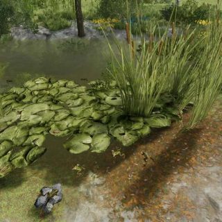 Frogs For Pond v1.0 FS22 Mod | Farming Simulator 22 Mod