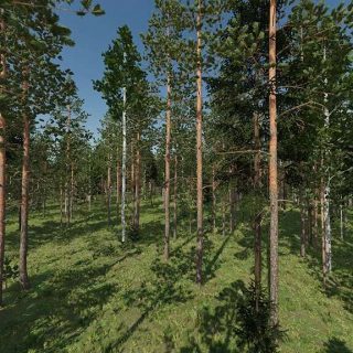 Karhuvaara Tree Pack (Prefab) v1.0 FS22 Mod | Farming Simulator 22 Mod