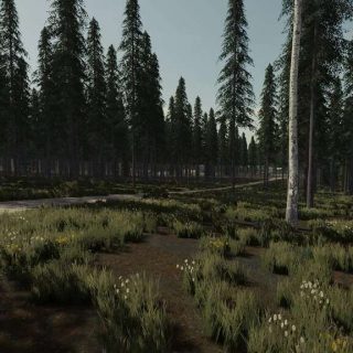 Ocean Side Forest v1.0 FS22 Mod | Farming Simulator 22 Mod