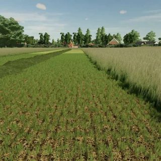 Papenburger Map v1.0.1.5 FS22 Mod | Farming Simulator 22 Mod
