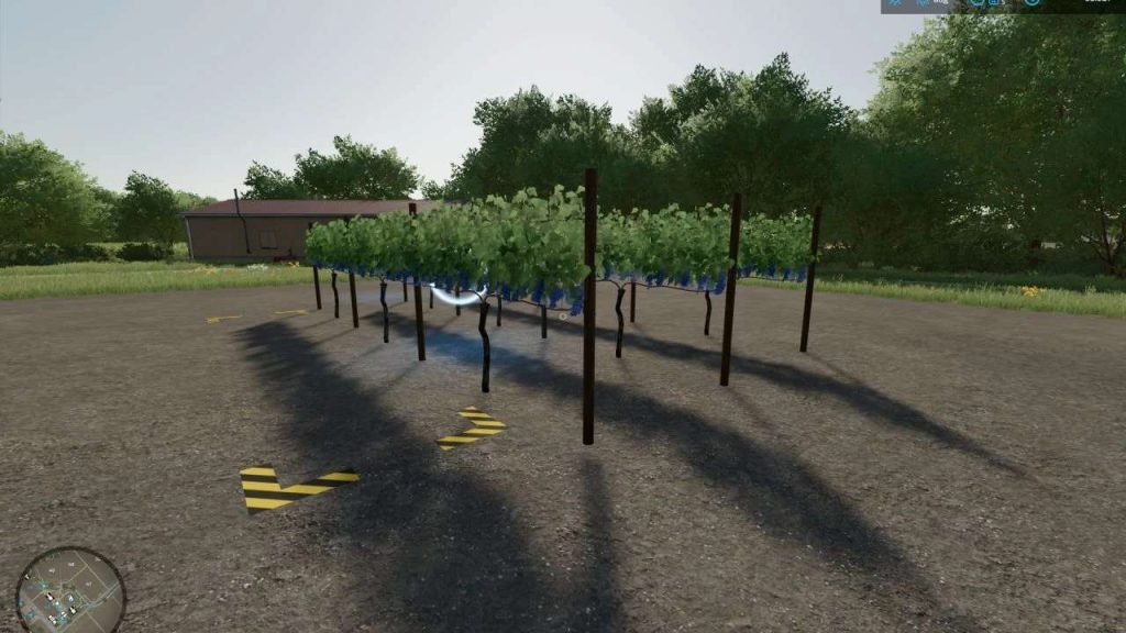 Red and White Grapes Orchards v1.1.1.1 FS22 Mod | Farming Simulator 22 Mod