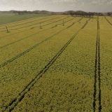 Aussie Farms 22 V1.0 FS22 Mod | Farming Simulator 22 Mod