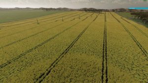 Aussie Farms 22 V1.0 FS22 Mod | Farming Simulator 22 Mod