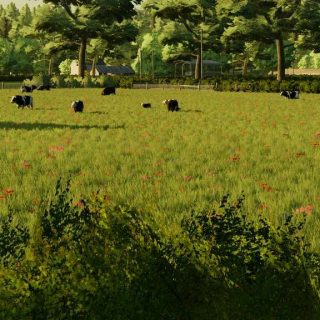 BallySpring Map v1.0 FS22 Mod | Farming Simulator 22 Mod