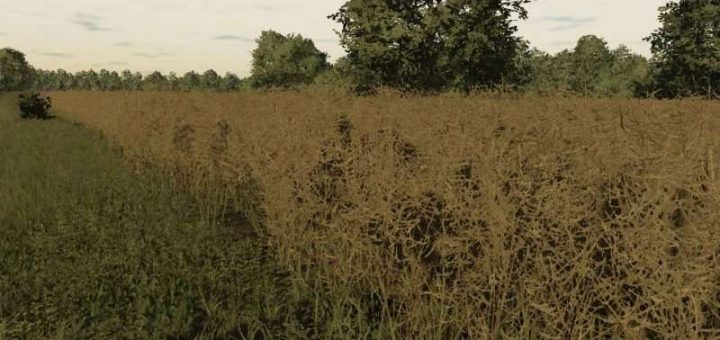 FS22 Textures Mods | Farming Simulator 22 Textures Mods