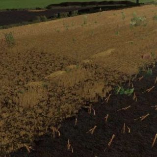 Texture of manure on stubble v1.0 FS22 Mod | Farming Simulator 22 Mod
