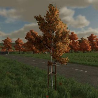 Treesupport v1.0 FS22 Mod | Farming Simulator 22 Mod