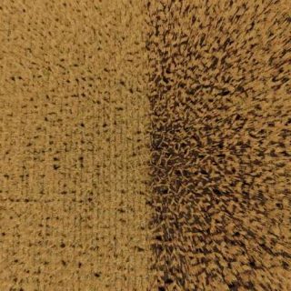 Visible Manure texture on stubble v1.0 FS22 Mod | Farming Simulator 22 Mod