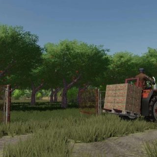 Apple trees v1.0 FS22 Mod | Farming Simulator 22 Mod
