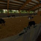 Calves Barn v1.0 FS22 Mod | Farming Simulator 22 Mod