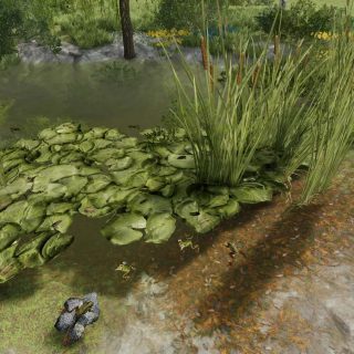 Frogs For Pond v1.0 FS22 Mod | Farming Simulator 22 Mod