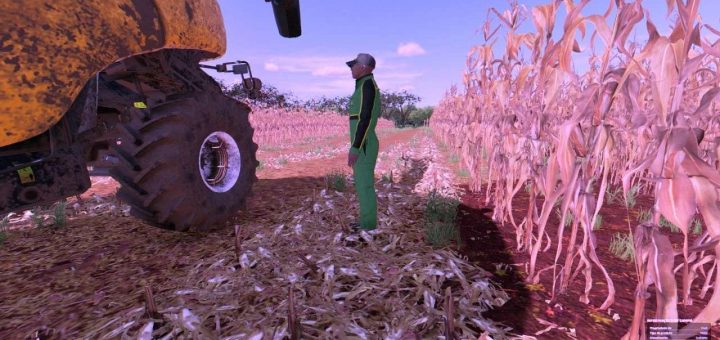 Textures of canola v1.0 FS22 - Farming Simulator 22 Mod | FS22 mod