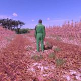 New Corn texture v1.0 FS22 Mod | Farming Simulator 22 Mod