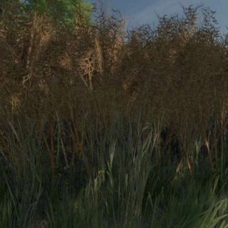 Realistic Canola Growth v1.0 FS22 Mod | Farming Simulator 22 Mod