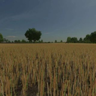 Realistic Canola Growth v1.0 FS22 Mod | Farming Simulator 22 Mod