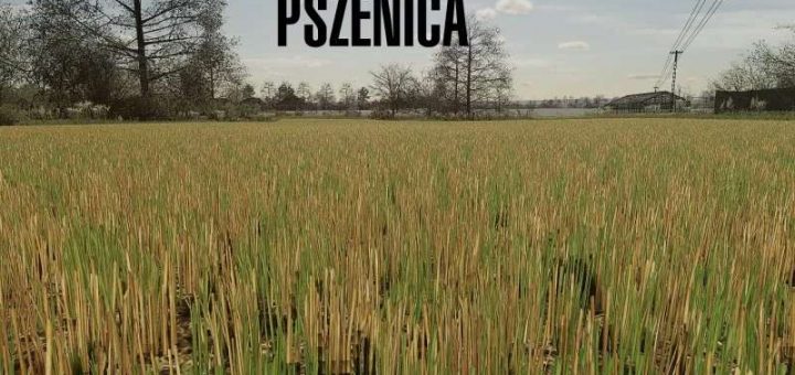 FS22 Textures Mods | Farming Simulator 22 Textures Mods