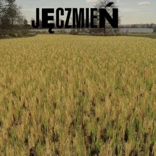 Stubble Texture (Wheat/Barley) v1.0 FS22 Mod | Farming Simulator 22 Mod