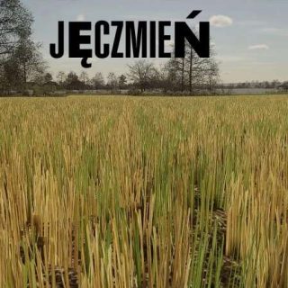 Stubble Texture (Wheat/Barley) v1.0 FS22 Mod | Farming Simulator 22 Mod