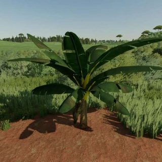 Banana Tree v1.0 FS22 Mod | Farming Simulator 22 Mod