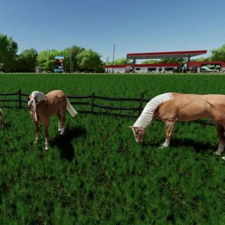 Enhanced Animal System v2.2.0.2 FS22 Mod | Farming Simulator 22 Mod
