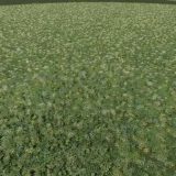 Flowering cover crop prefab v1.0 FS22 Mod | Farming Simulator 22 Mod