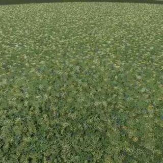 Flowering cover crop prefab v1.0 FS22 Mod | Farming Simulator 22 Mod