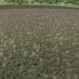 Flowering cover crop prefab v1.0 FS22 Mod | Farming Simulator 22 Mod