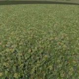 Flowering cover crop prefab v1.0 FS22 Mod | Farming Simulator 22 Mod