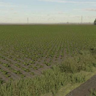 Sugarbeet Textures v1.0 FS22 Mod | Farming Simulator 22 Mod