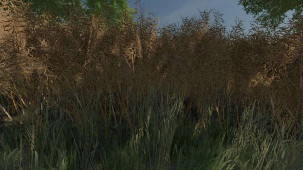 Realistic Canola Growth v1.1 FS22 Mod | Farming Simulator 22 Mod