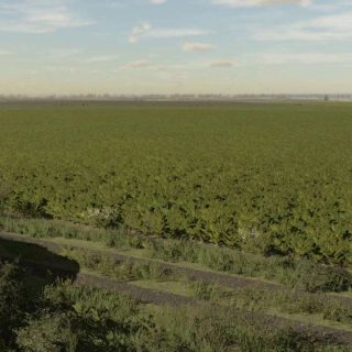 Sugar beet textures v1.0 FS22 Mod | Farming Simulator 22 Mod