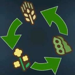 CropRotation + (additional crops) v2.5.0.1 FS22 Mod | Farming Simulator ...