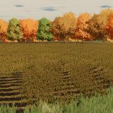 Graystone Farm (Row Crop Ready) v1.0 FS22 Mod | Farming Simulator 22 Mod