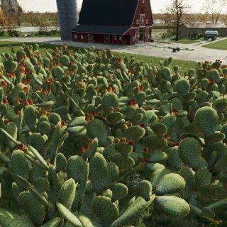 Prickly Pear Cactus v1.0 FS22 Mod | Farming Simulator 22 Mod