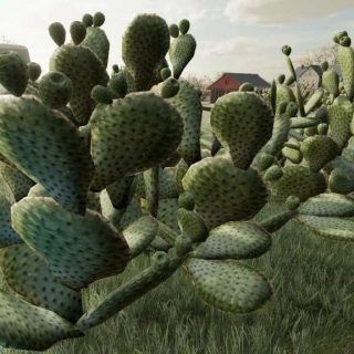 Prickly Pear Cactus v1.0 FS22 Mod | Farming Simulator 22 Mod