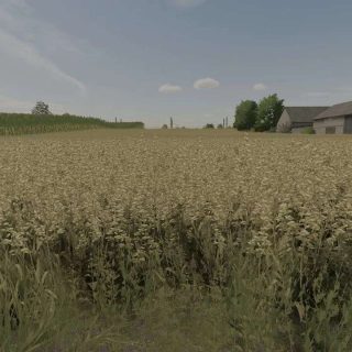 Oat Texture v1.0 FS22 Mod | Farming Simulator 22 Mod