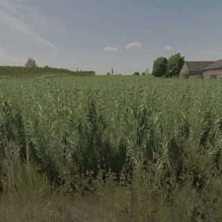 Oat Texture v1.0 FS22 Mod | Farming Simulator 22 Mod