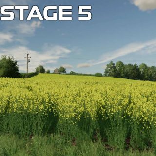 OSR/Canola Crop Textures v1.0 FS22 Mod | Farming Simulator 22 Mod