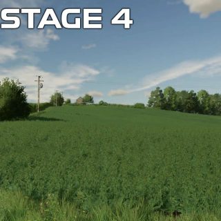 OSR/Canola Crop Textures v1.0 FS22 Mod | Farming Simulator 22 Mod