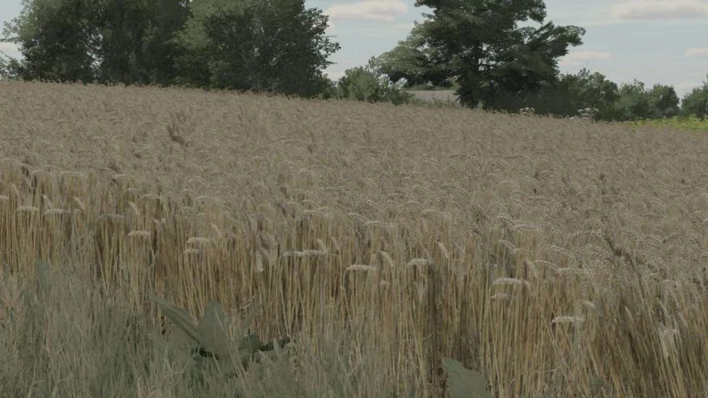 Wheat Texture v1.0 FS22 Mod | Farming Simulator 22 Mod