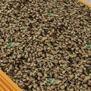 Fillplanes Textures v1.0 FS22 Mod | Farming Simulator 22 Mod