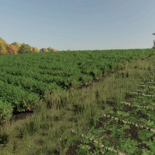 Topping Vegetables v1.0 FS22 Mod | Farming Simulator 22 Mod
