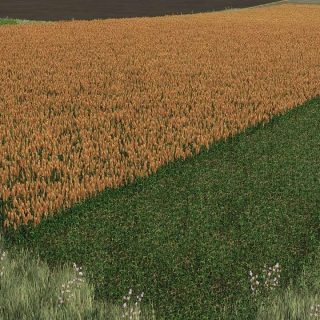 New sorghum texture ready for harvest v1.0 FS22 Mod | Farming Simulator ...