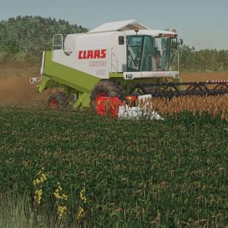 New sorghum texture ready for harvest v1.0 FS22 Mod | Farming Simulator ...