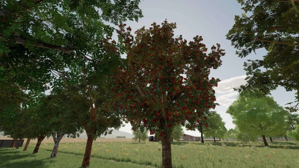 Orchards Fruits v1.0 FS22 Mod | Farming Simulator 22 Mod