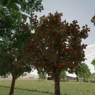 Orchards Fruits v1.0 FS22 Mod | Farming Simulator 22 Mod